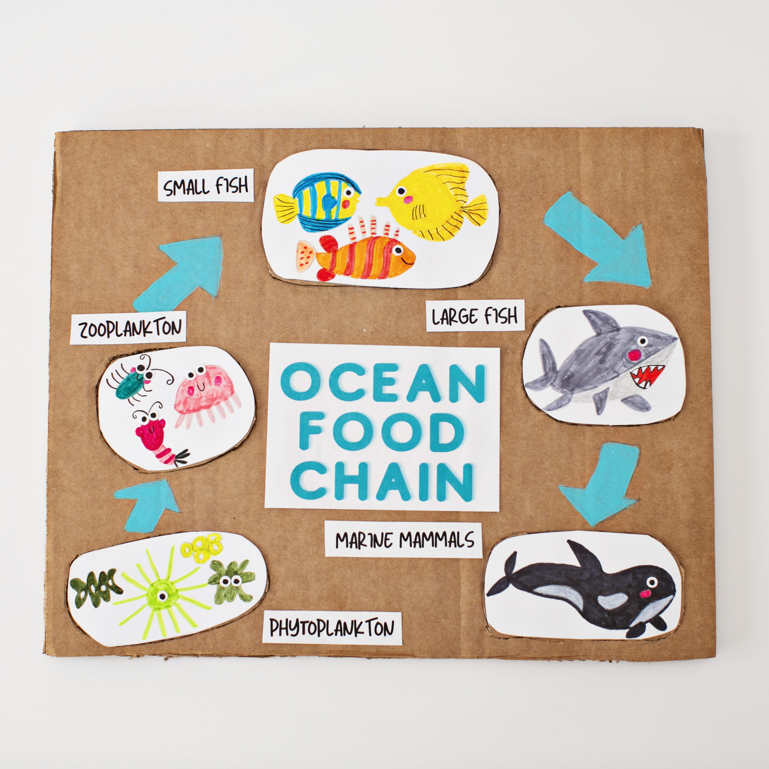 2 Entertaining Activities to Teach Kids About the Ocean - Rubio's Site